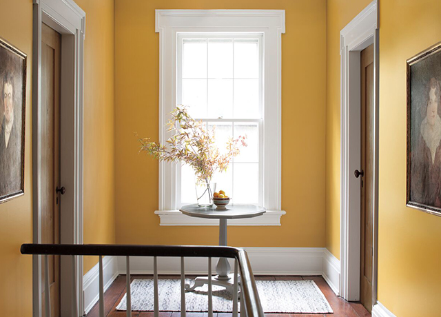 Showroom Spotlight: Benjamin Moore - NYDC